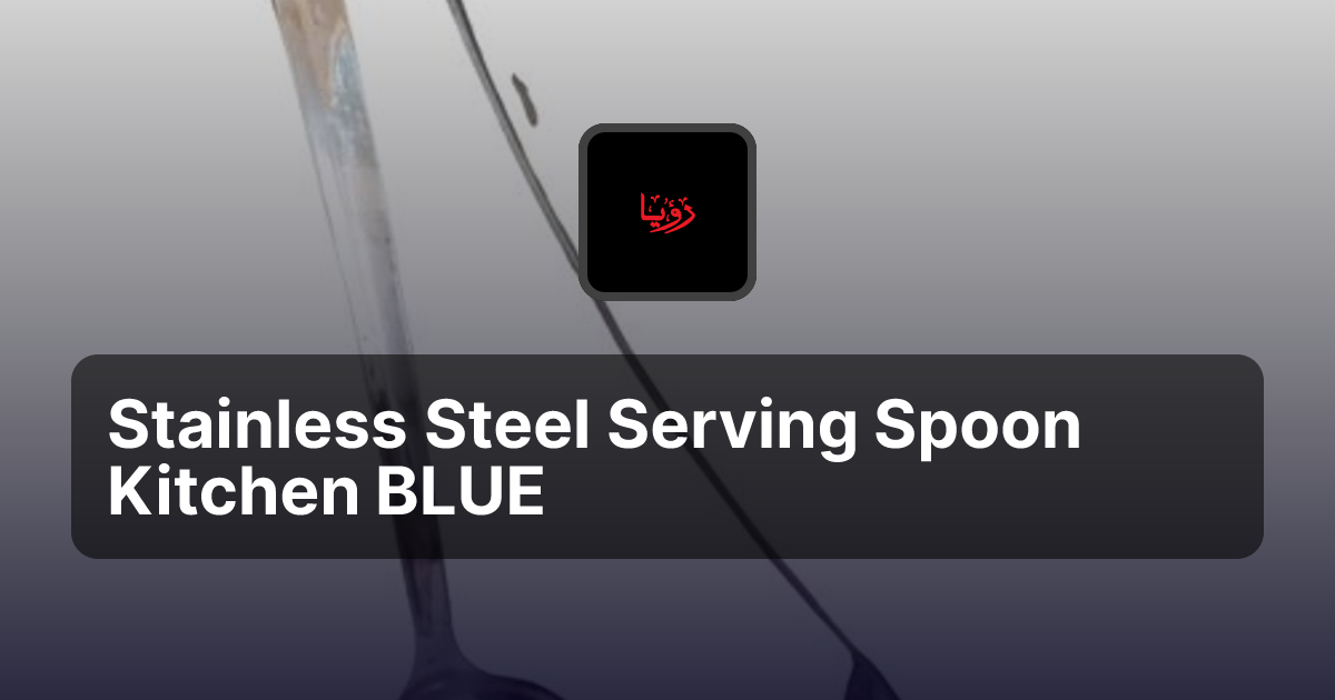 Stainless Steel Serving Spoon Kitchen BLUE | Roaya Al Mustaqbal